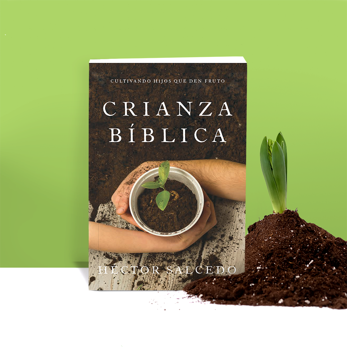 Editorial Vida presenta ‘Crianza bíblica’ - Verdad y Vida